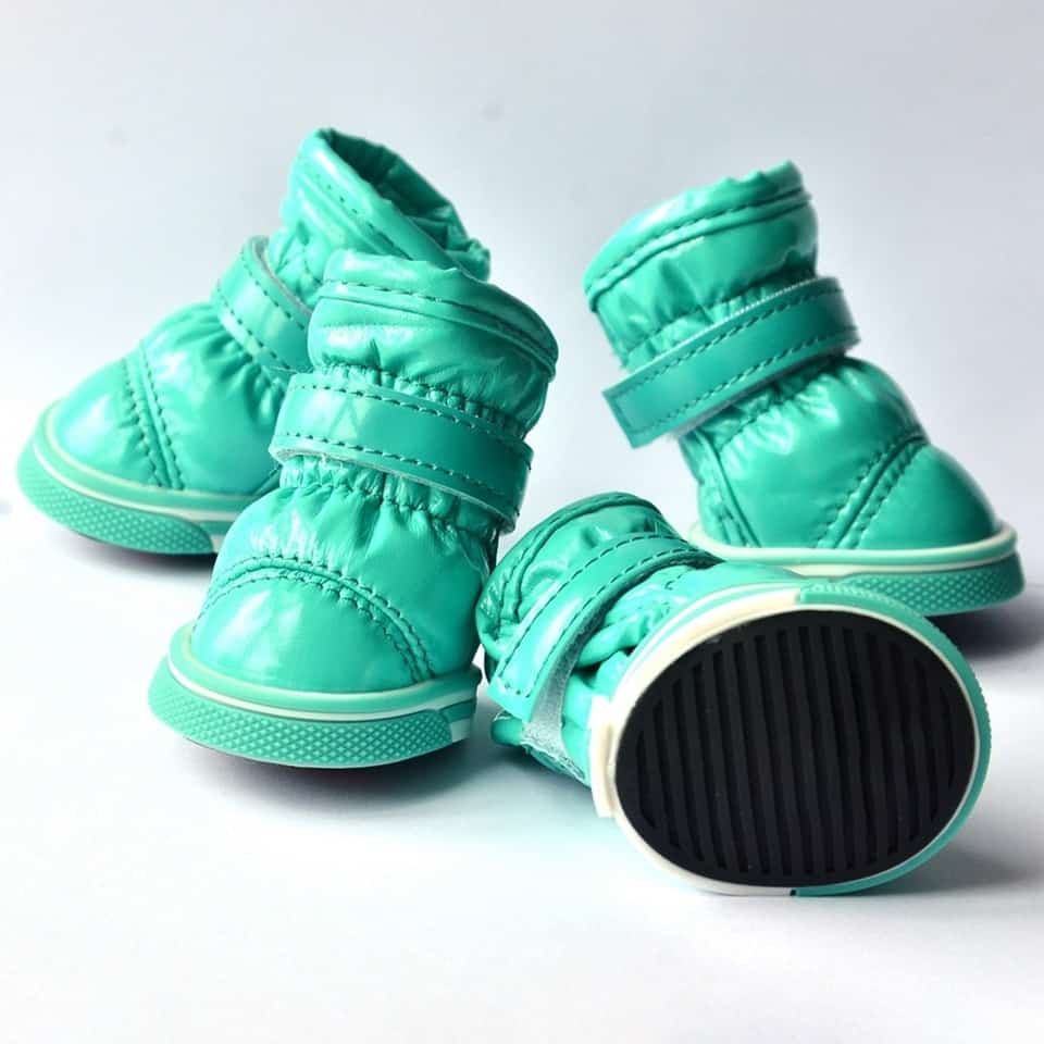 Waterproof Yorkie Boots - Stylish Dog Boots for Weather Protection
