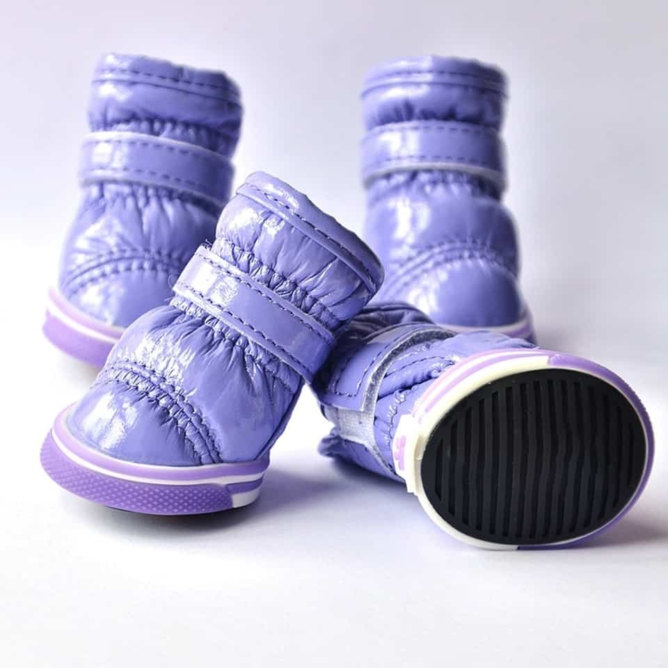 Waterproof Yorkie Boots - Stylish Dog Boots for Weather Protection