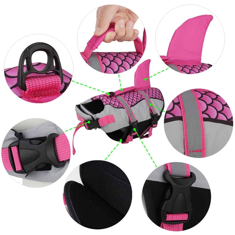 "FinTails" Yorkie life jacket vest • Yorkies Gram