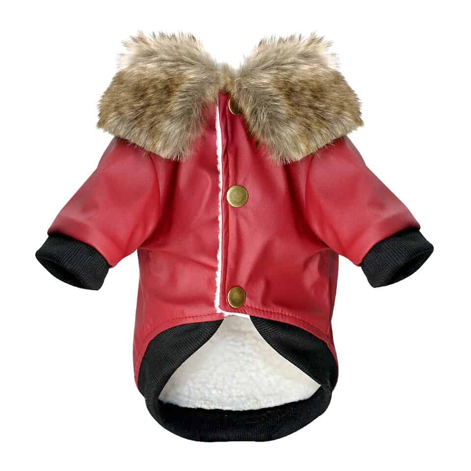Waterproof Winter Yorkie Jacket – Stylish & Warm Protection