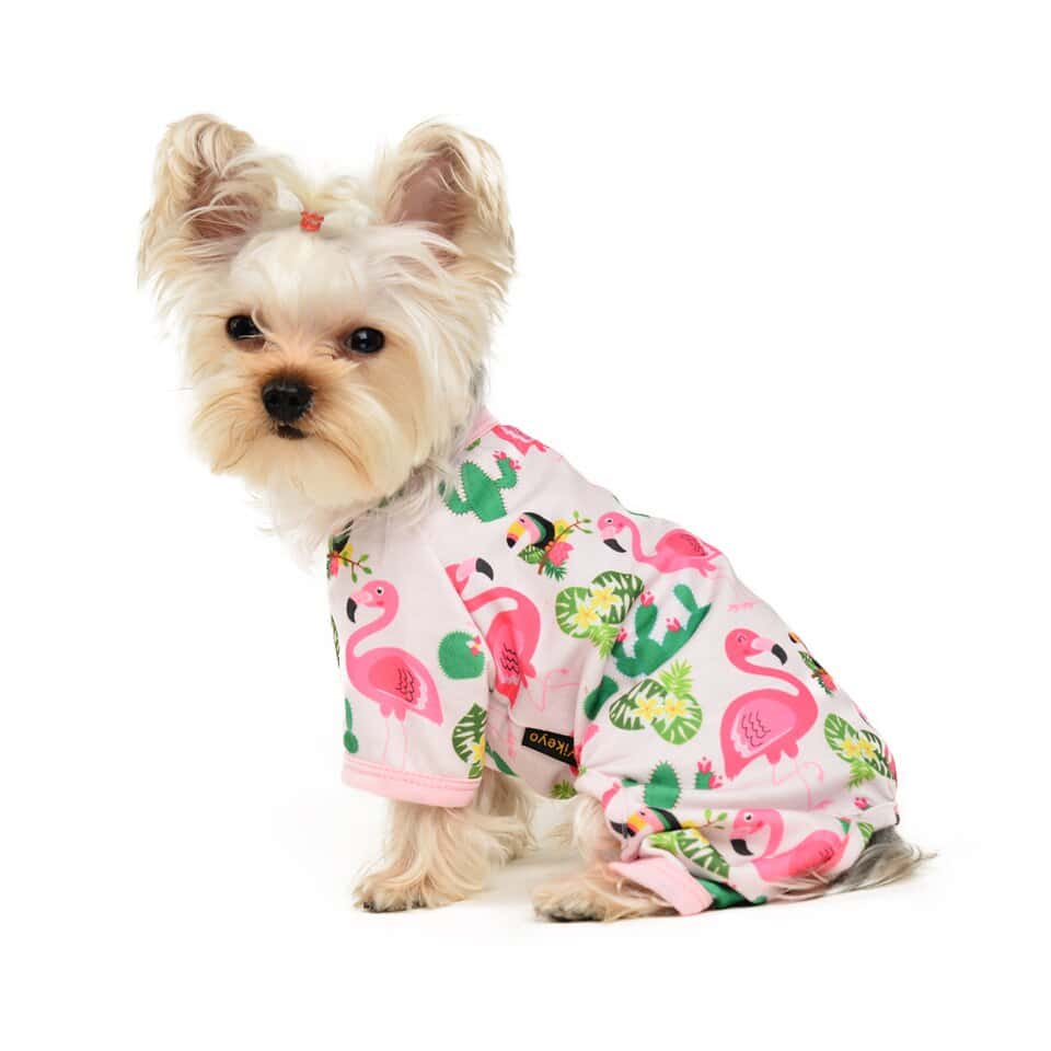 Cotton Yorkie Pajamas: Protect Your Dog From Allergens and Cold