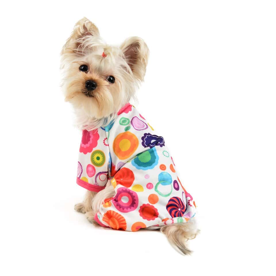 Cotton Yorkie Pajamas: Protect Your Dog From Allergens and Cold