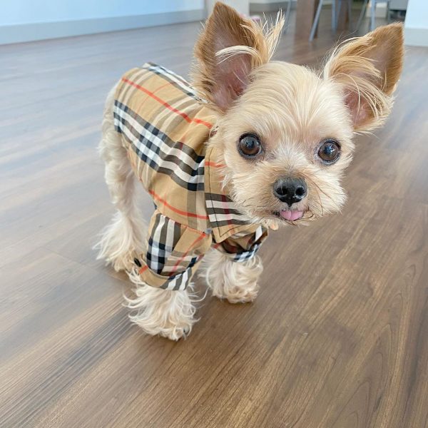 Monck Yorkie Vest Jacket: Warmth & Style For Your Furry Friend