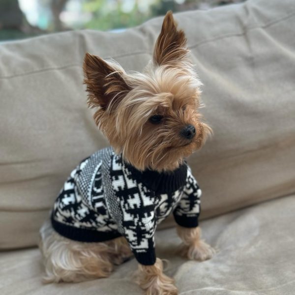 GG Dog Face Jacket: Design Inspired By Haute Couture