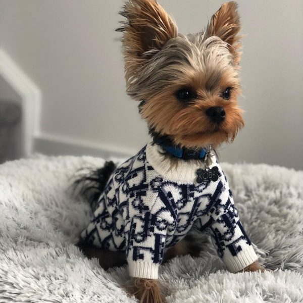 Monck Yorkie Vest Jacket: Warmth & Style For Your Furry Friend