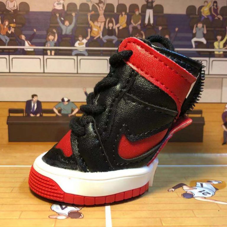 Yorkie Dog Jordans: Give Your Dog The Ultimate Paw Protection