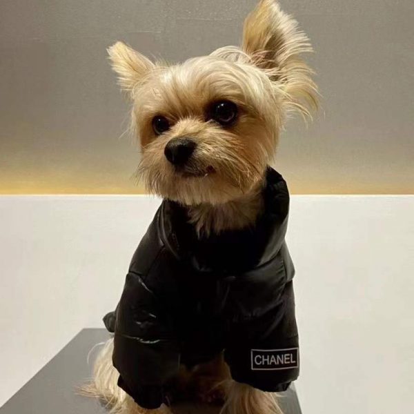 Monck Yorkie Vest Jacket: Warmth & Style For Your Furry Friend