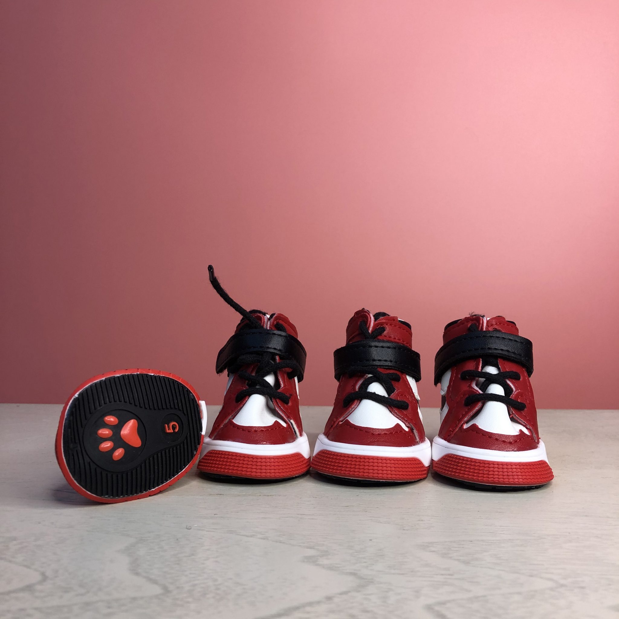 Yorkie Dog Jordans: Give Your Dog The Ultimate Paw Protection