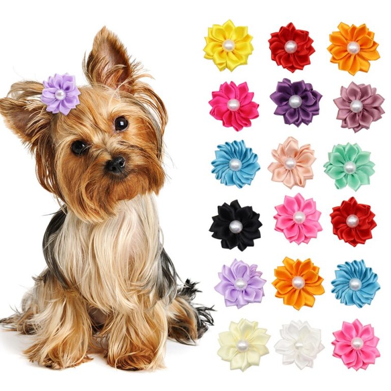 Yorkie Dog Carrier - Lightweight and Breathable for Small Dogs