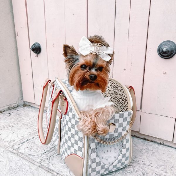 Yorkie Dog Carrier - Lightweight and Breathable for Small Dogs