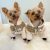 GG Dog Face Jacket: Design Inspired By Haute Couture