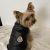 Monck Yorkie Vest Jacket: Warmth & Style For Your Furry Friend