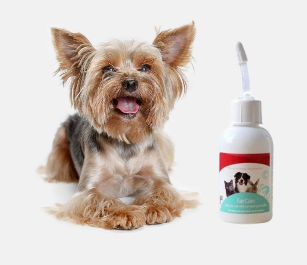 Yorkie Ear Cleaning Solution • Yorkies Gram