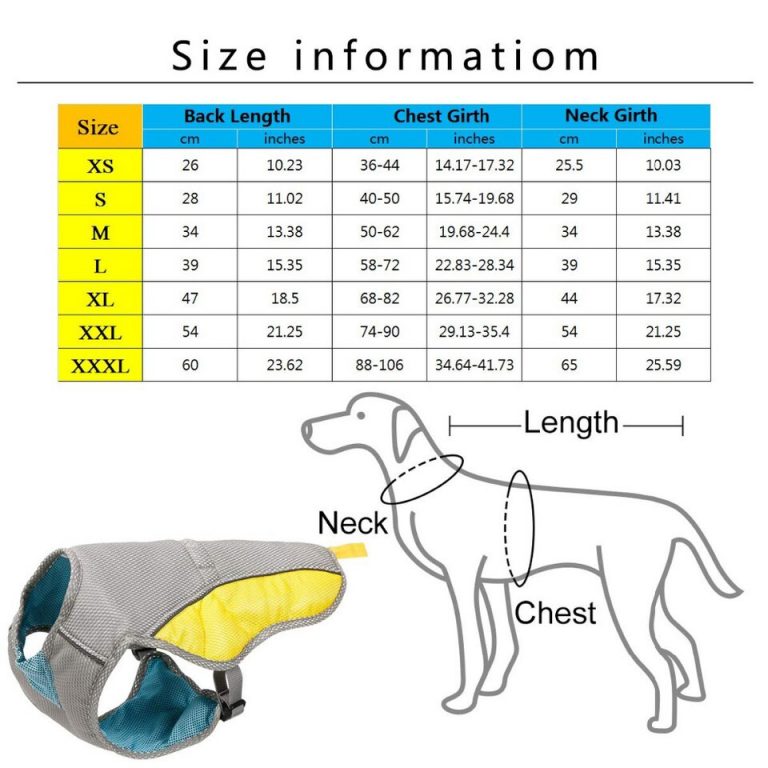 Yorkie Life Jackets: Keep Your Dog Safe During Swimming