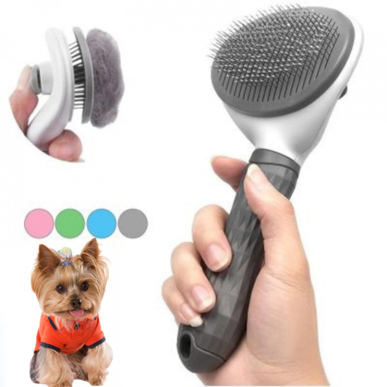 Snorkie Dog Guide: Yorkie Schnauzer Mix Facts & Care Tips