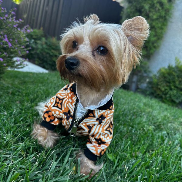 Red Paw Yorkshire Terrier Jacket • Yorkies Gram