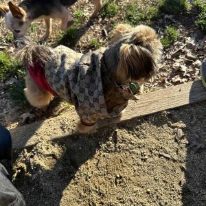 Luxury GG Hooded Jacket: Designer Dog Clothes for Yorkies
