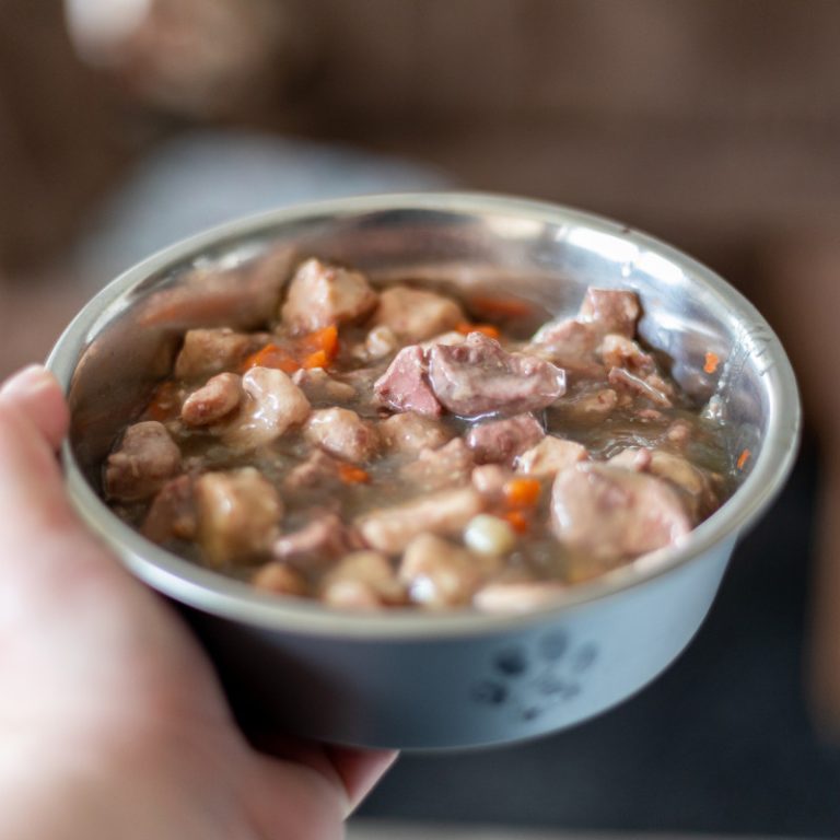 The Best Homemade Food for Yorkies: 30 Recipes For Your Pup