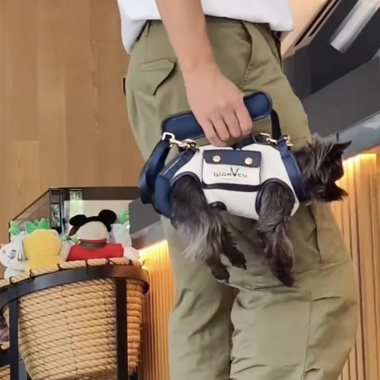 Hands-Free Shoulder Yorkie Carrier • Yorkies Gram