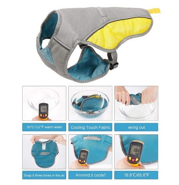 Yorkie Life Jacket: Why Your Yorkie Needs a Life Vest
