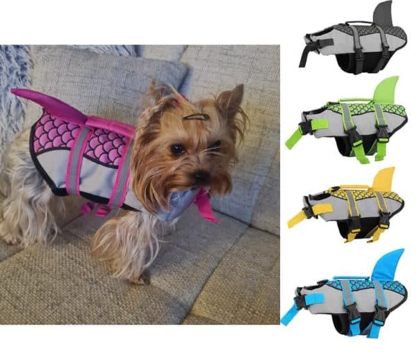 Yorkie Life Jacket: Why Your Yorkie Needs a Life Vest